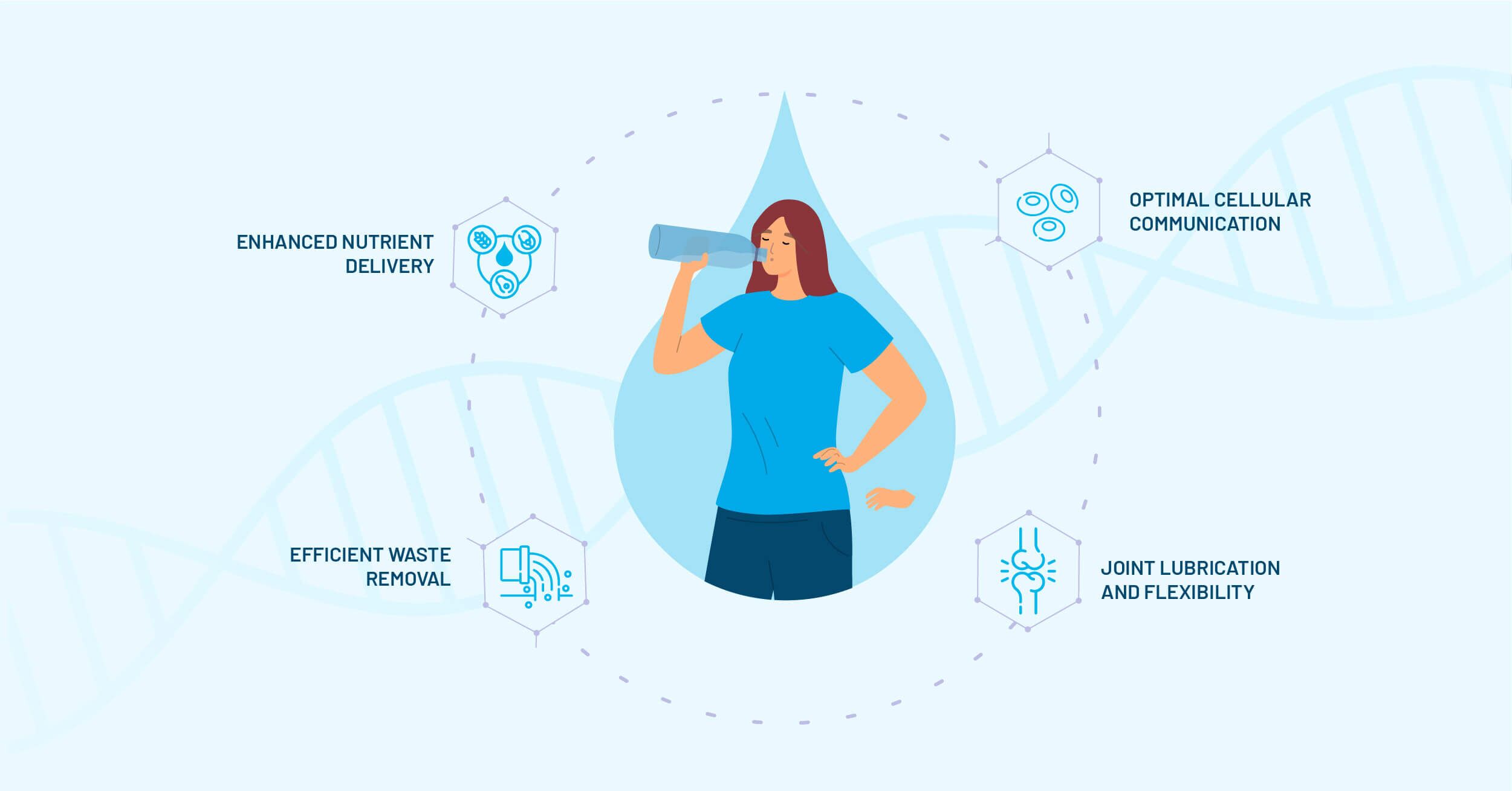 The Power of Cellular Hydration: Unlocking Your Body's Potential ...