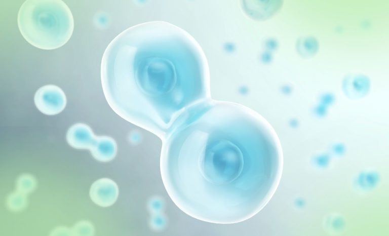 An Introduction to Exosomes and How They Are Used in Anti-Aging ...